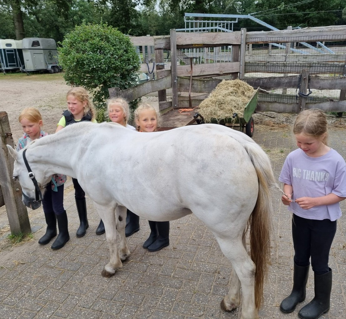 Ponykampdag – Manege en groepsaccommodatie Snorrewind Markelo
